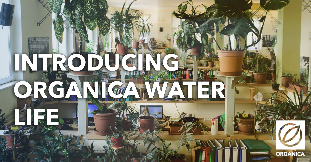 Introducing “Organica Water Life” - Innovative Solutions for Wastewater ...